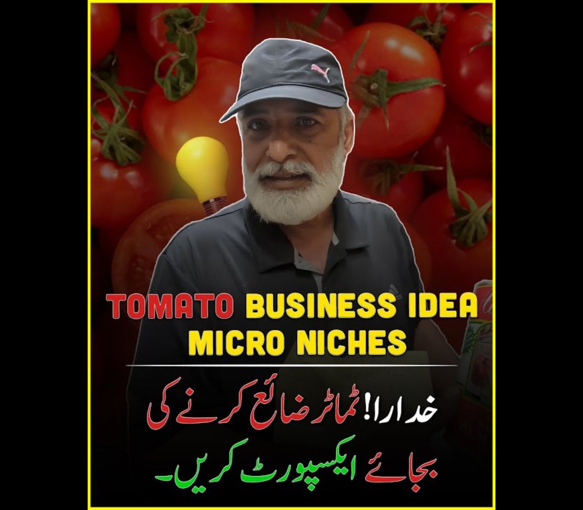 Tomato Business Idea Micro Niches 🍅 - Learn with eCommerce Wala